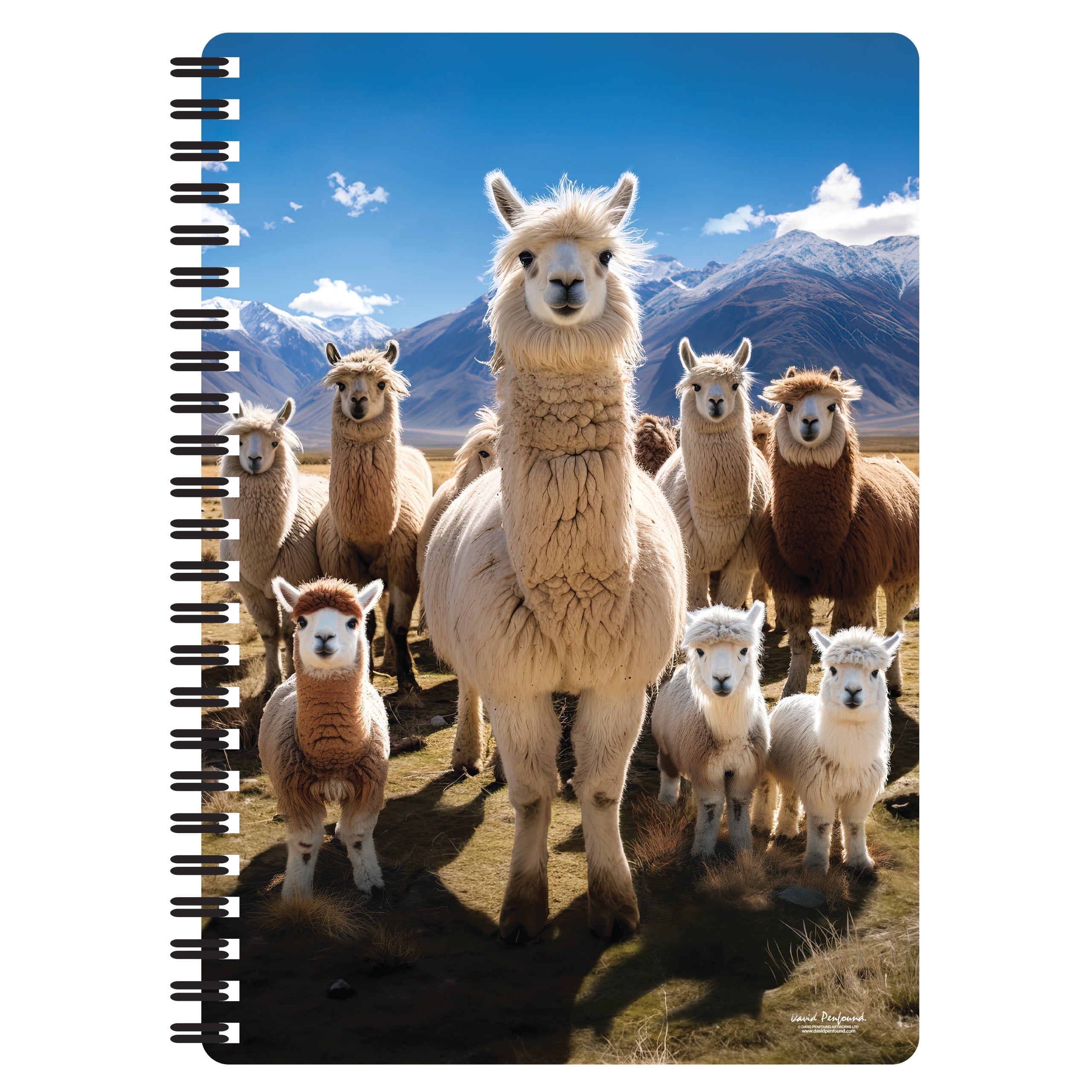 3D LiveLife Notebook – Llamarama by Deluxebase. 80 Page Lenticular 3D ...