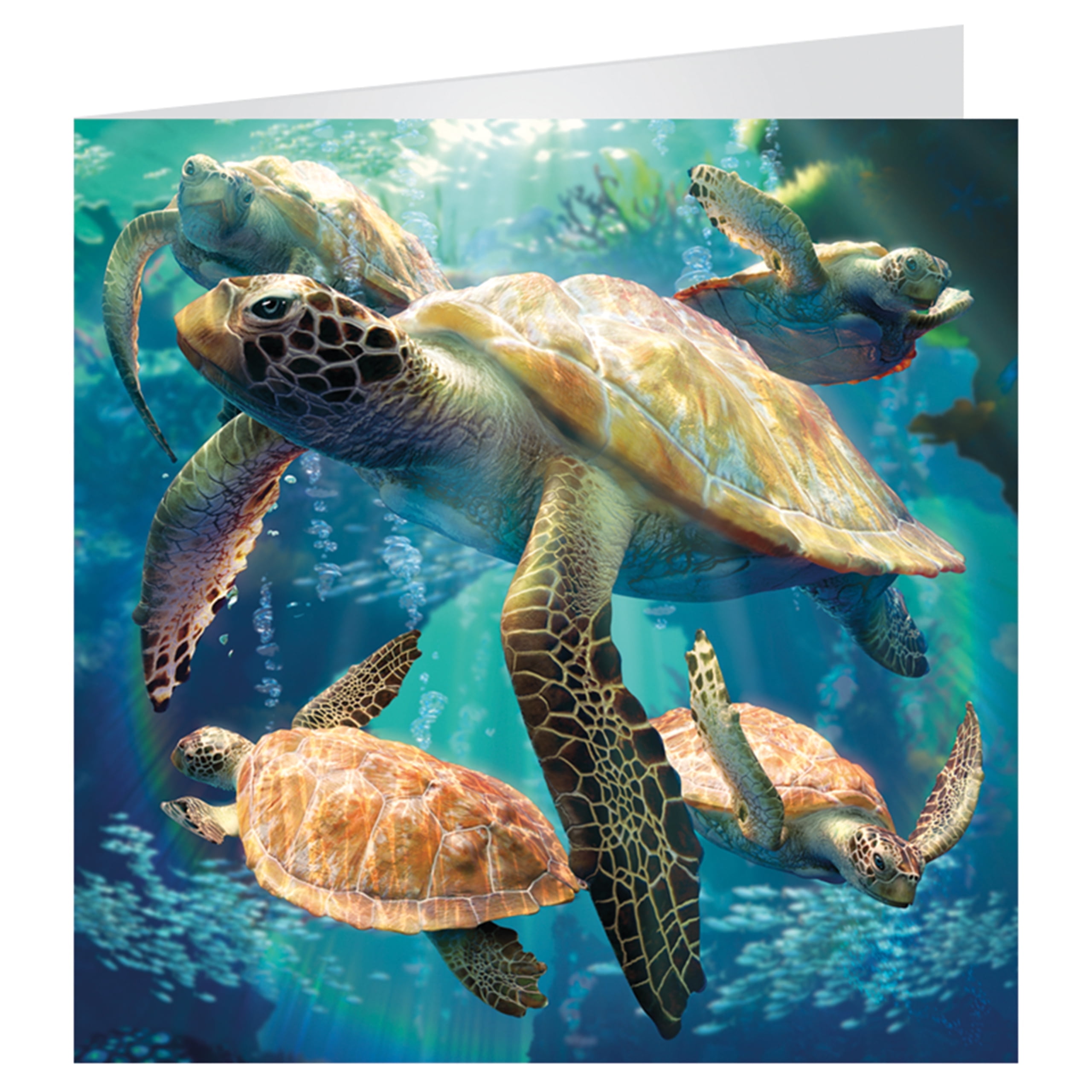 3D LiveLife Sea Turtle Swim Greeting Card by Deluxebase – Lenticular 3D Art by Michael Searle ...