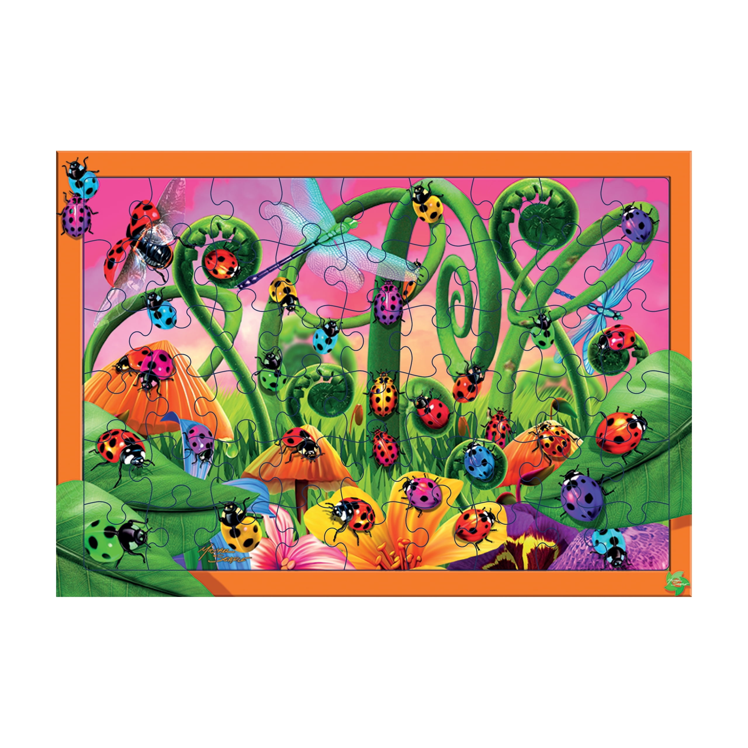3D Ladybird Tray Jigsaw Puzzle by Deluxebase – 40pc Lenticular Bug ...