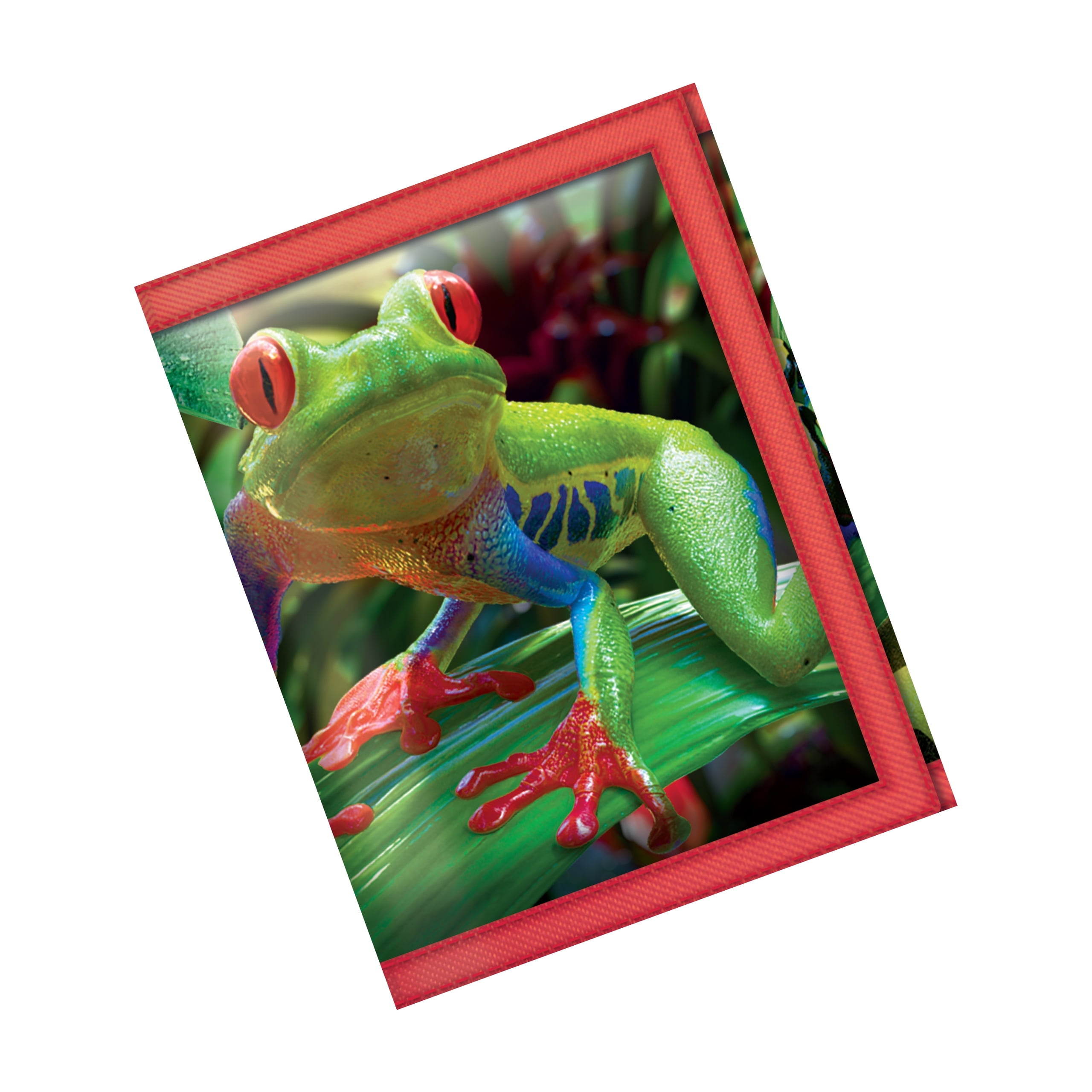 3D LiveLife Wallet Funky Frogs Lenticular 3D Wildlife Wallet by David ...