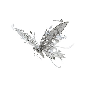 Butterfly Models