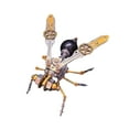 3D Metal Puzzle Insect Model Kit, 131PCS DIY Assembly Steampunk ...