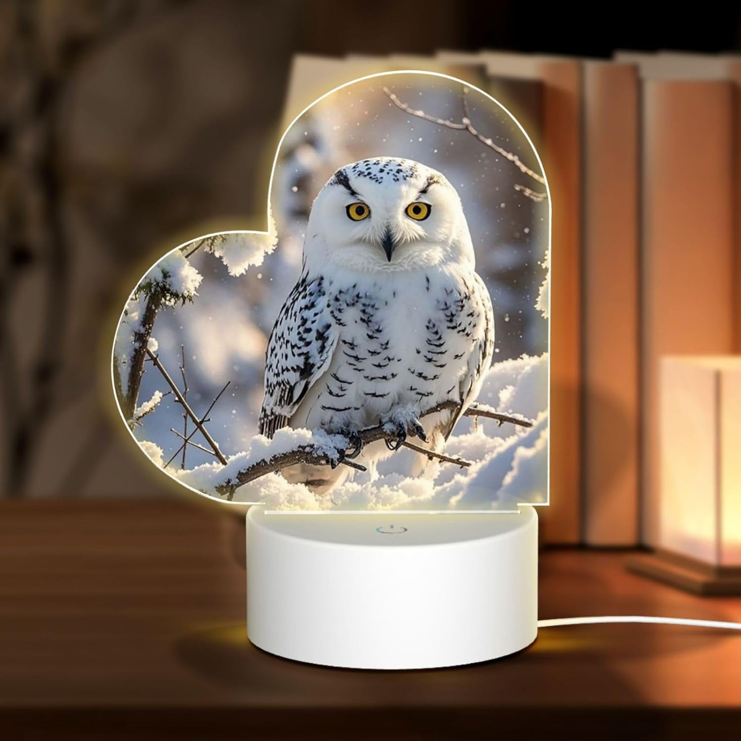 3D Night LED Light Lamp Bases Winter White Owl Night Light Acrylic LED ...