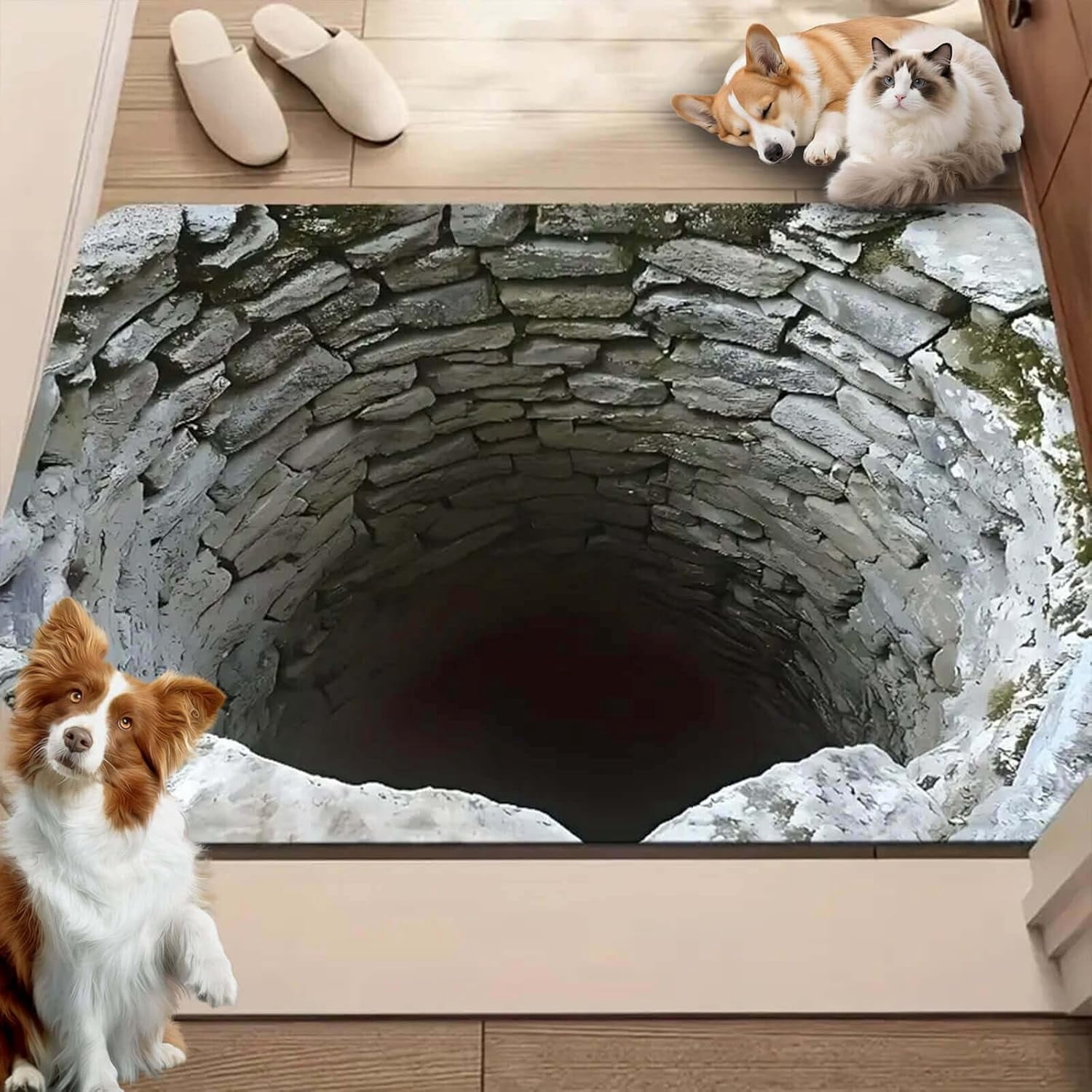 3D Optical Illusion Rug with Hole Effect – Interactive Illusion Rug for ...