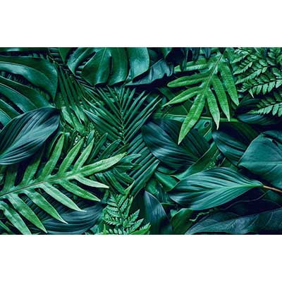 3D Photography Wallpapers Backdrop Visual Illusion Background Swirl ...