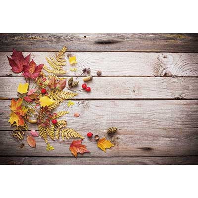 3D Photography Wallpapers Backdrop Visual Illusion Background Swirl ...