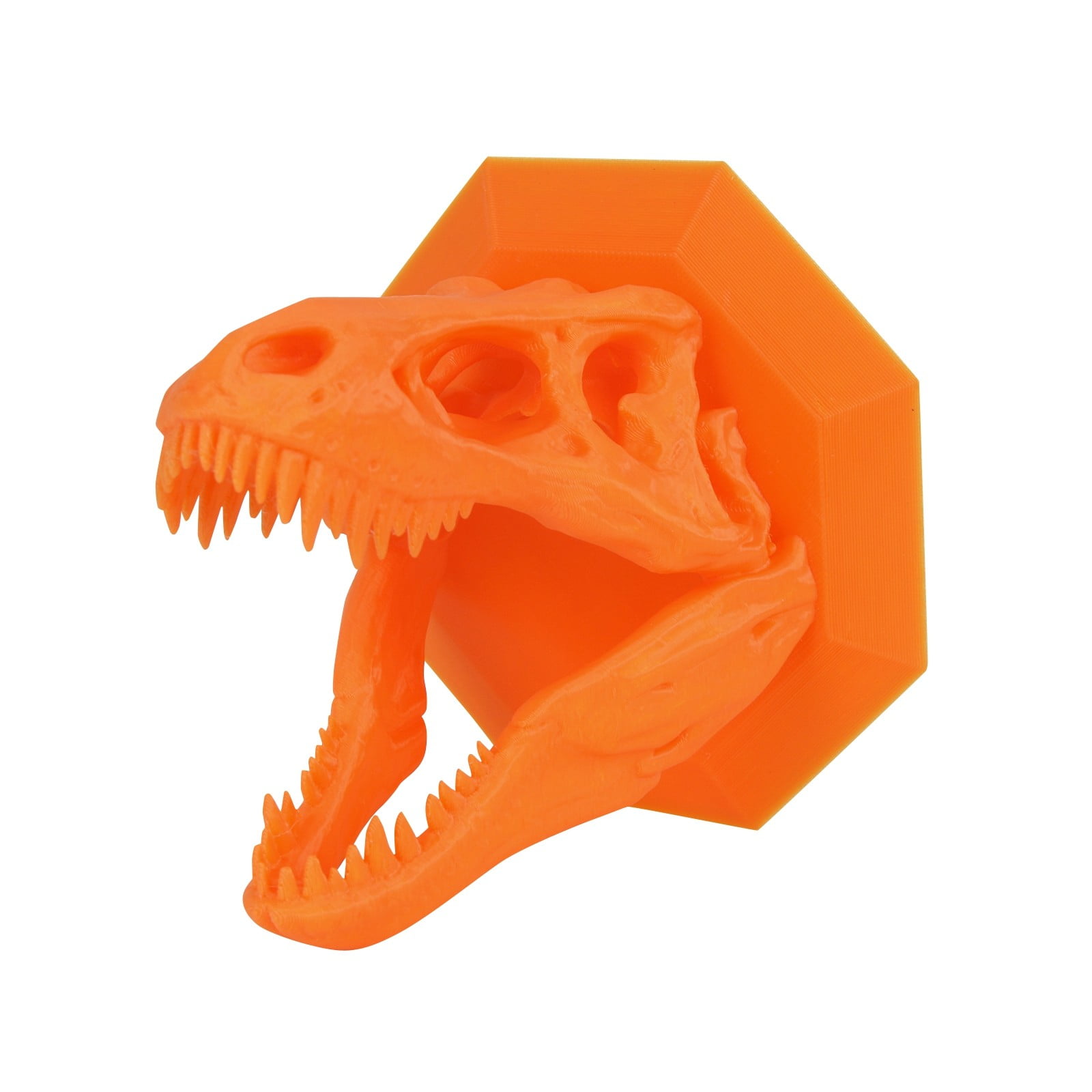 3D Printed Dinosaur Skull Wall Mount Realistic T-Rex Fossil Replica for ...