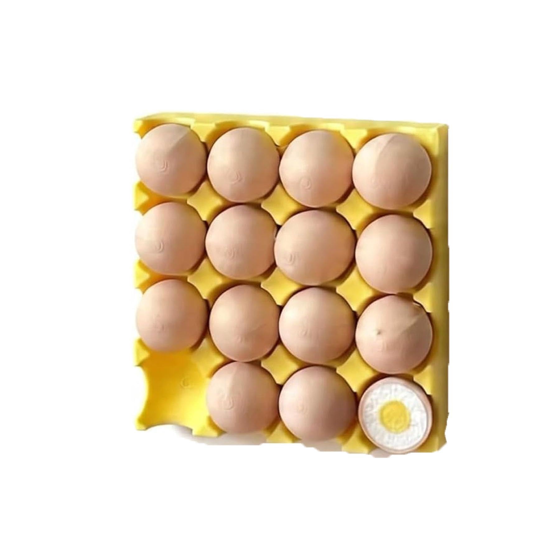 3D Printed Egg Tray Refrigerator Magnets Set, 16 Pcs Cute Mini Egg ...