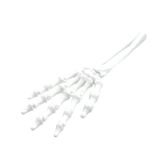 Skeleton Hands