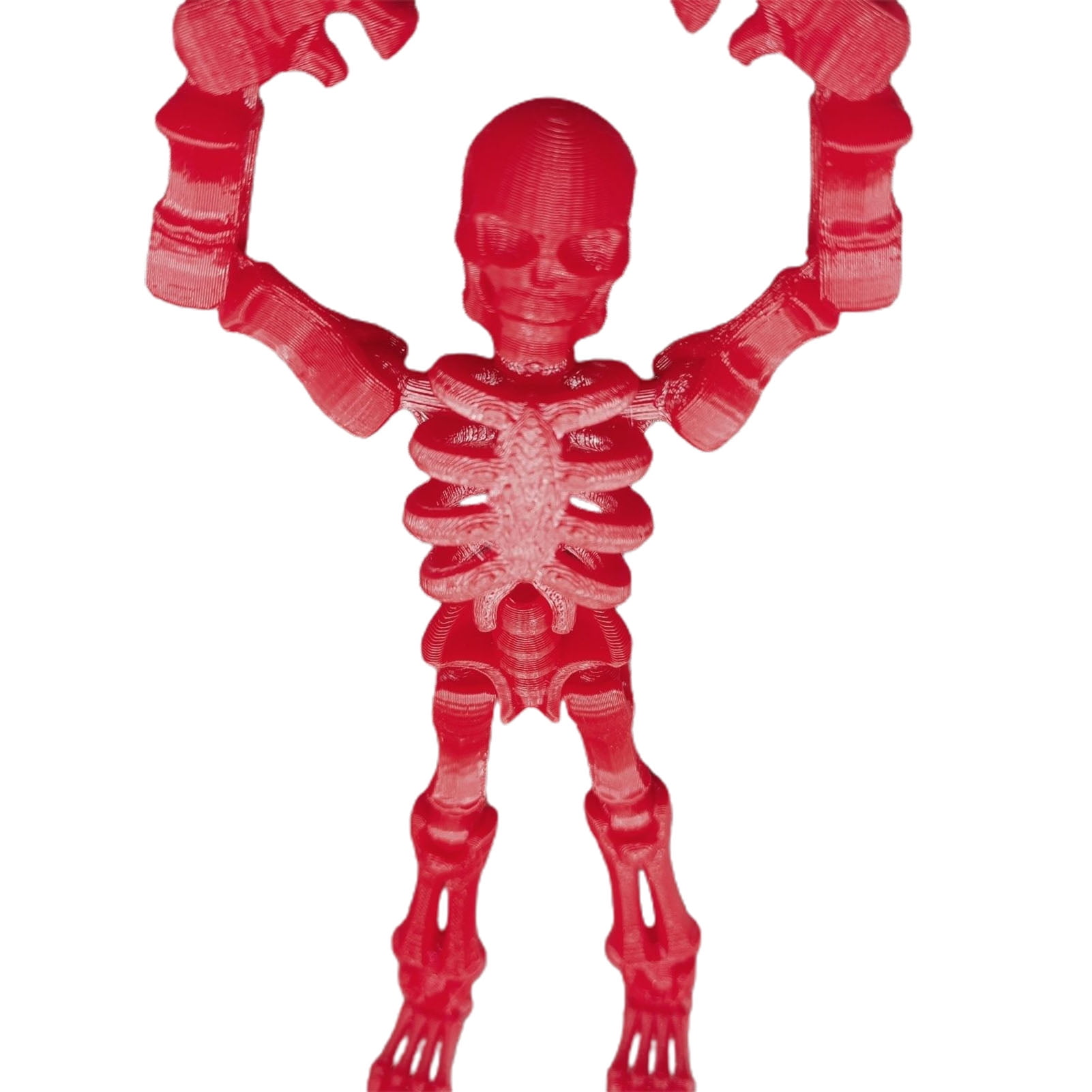 3D Printed Skeleton Action Figure Multi-jointed Movable Skeleton Model ...