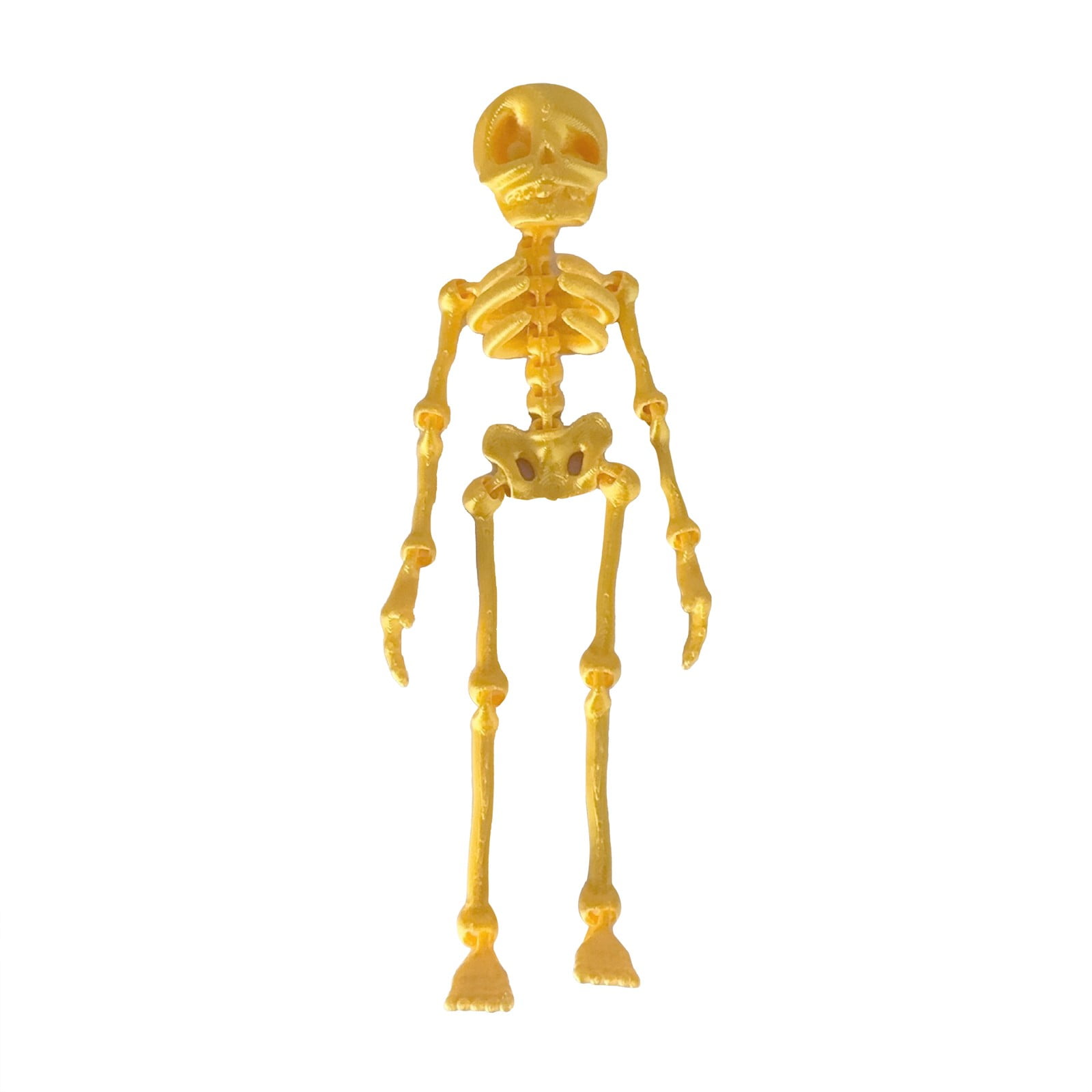 3D Printed Skeleton Refrigerator Magnets - Skeleton Magnets for Rridge ...