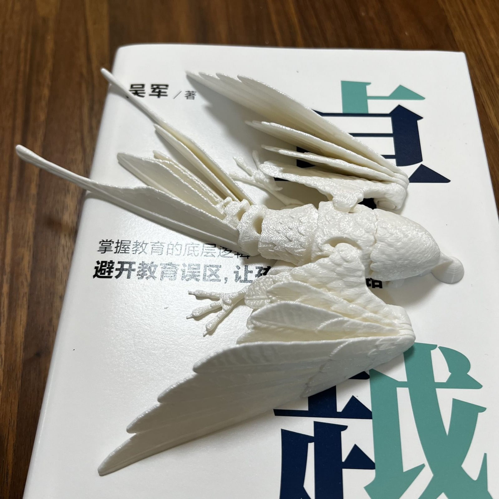 3D Printing Gradient Color Bird Model Joints Movable Rain Swallow ...