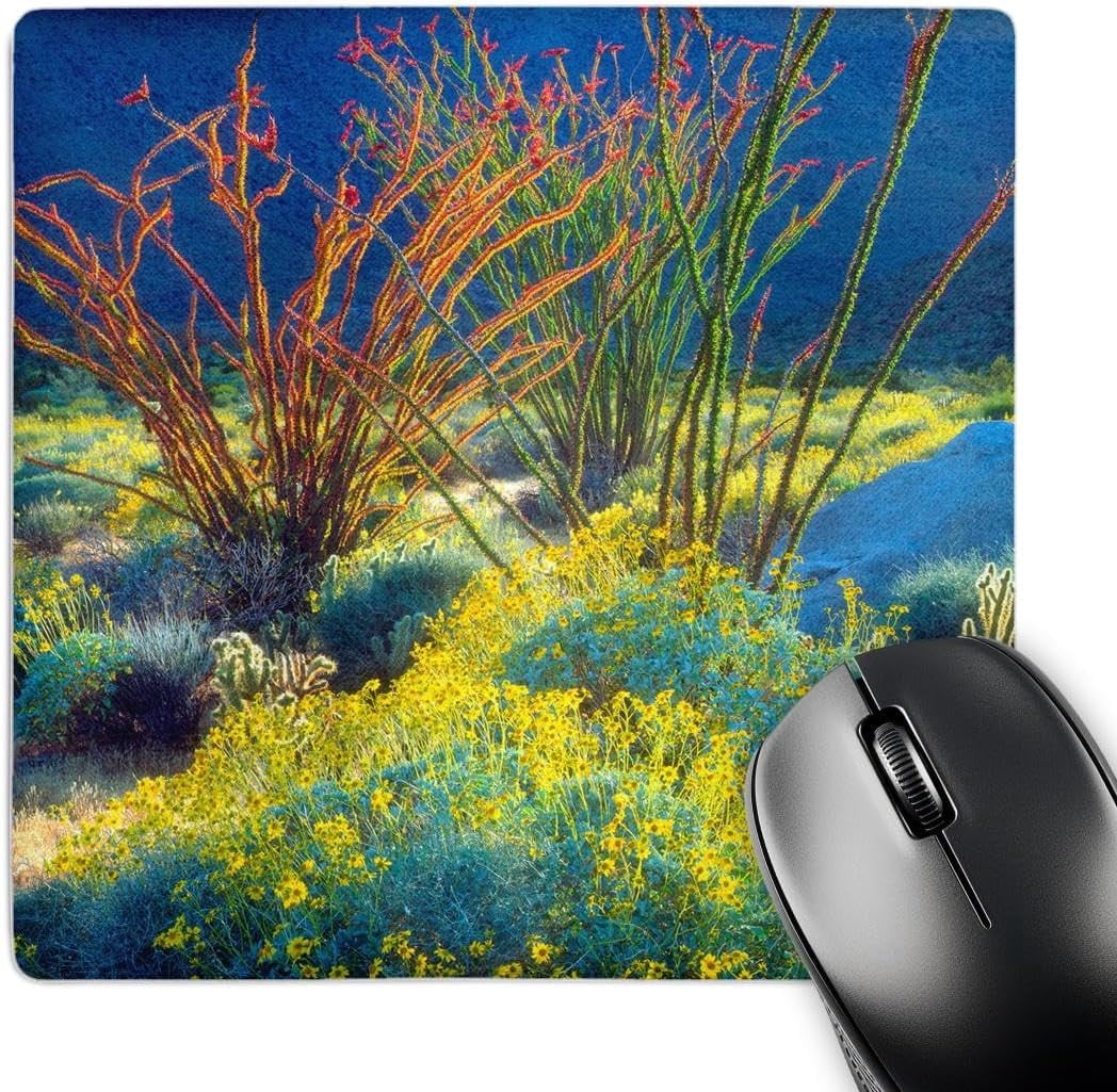 3D Rose "USA California Anzaborrego Desert State Park. Blooming ...