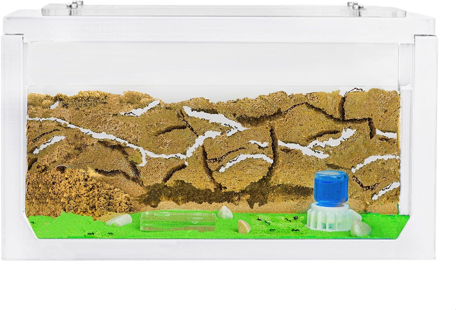 3D Sand Ant Hill | White Starter Kit 7.87 x 3.94 x 3.94 in | Ant Farm ...