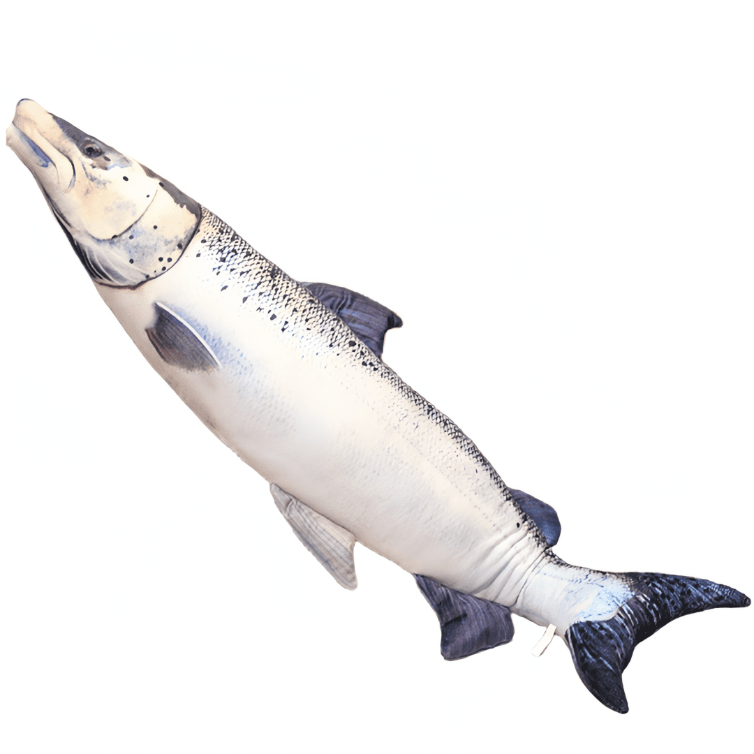 3D Simulation Fish Shaped Pillow Bedroom Plush Stuffed Toy Home Decor ...