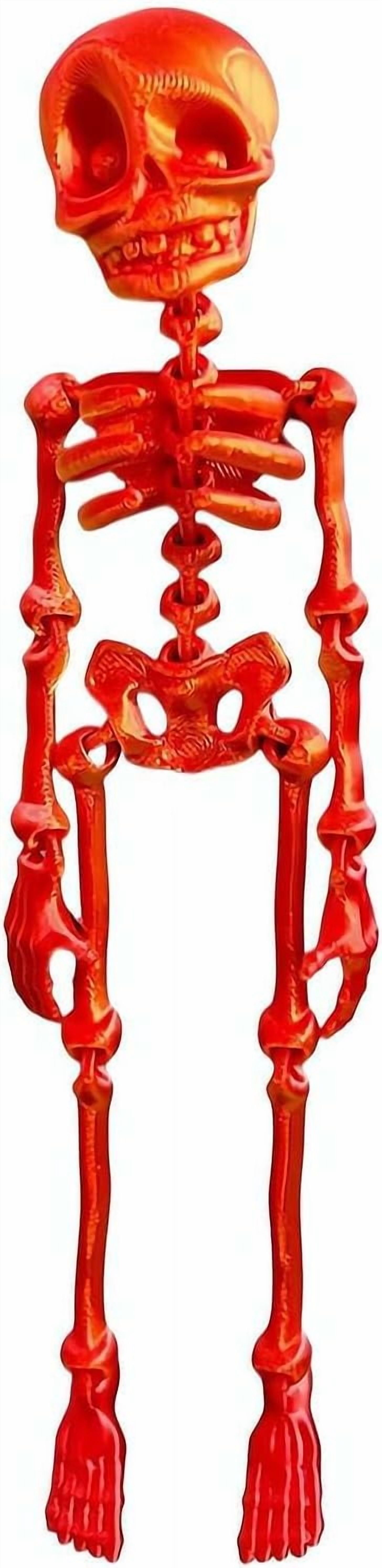 3D Skeleton Magnets for Fridge,Unique Funny Full Body Skeleton Fridge ...