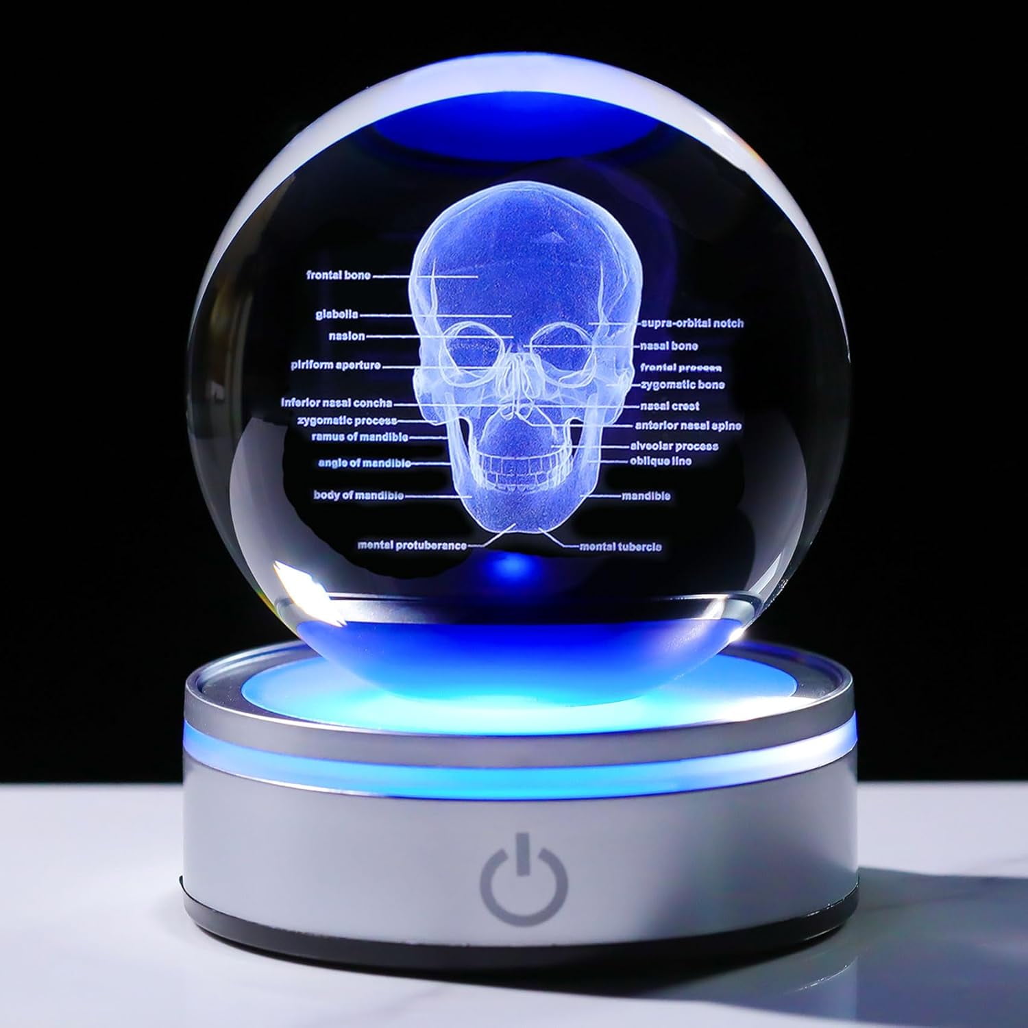 3D Skull Figurine Crystal Ball Gifts for Doctors, Laser Etched Human ...