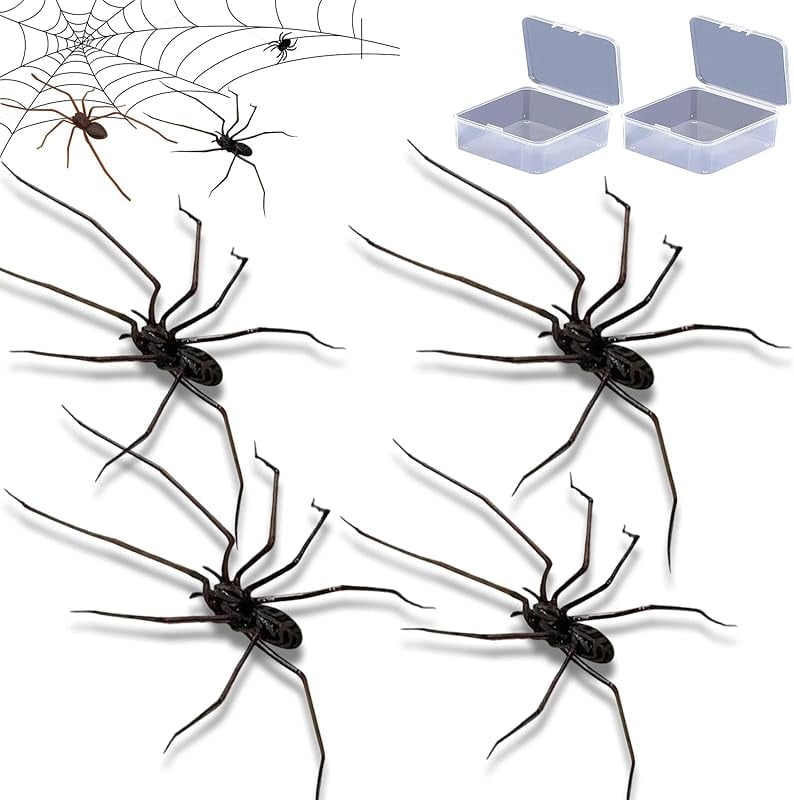 3D Spider Fridge Decal, Realistic Spider Magnet, Spider Magnet ...