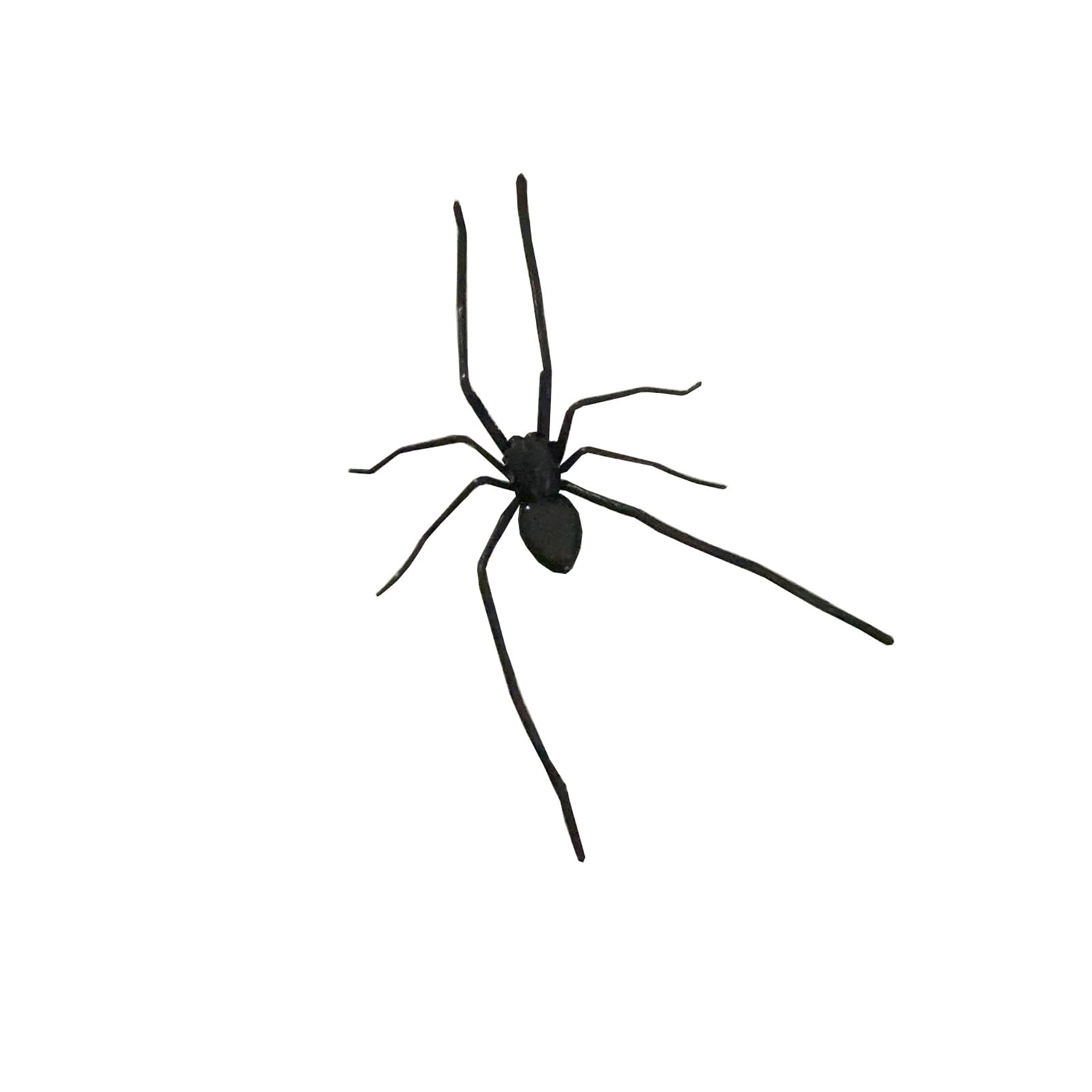3D Spider Fridge Magnet, 3D Realistic Giant House Spider Fridge Magnet ...