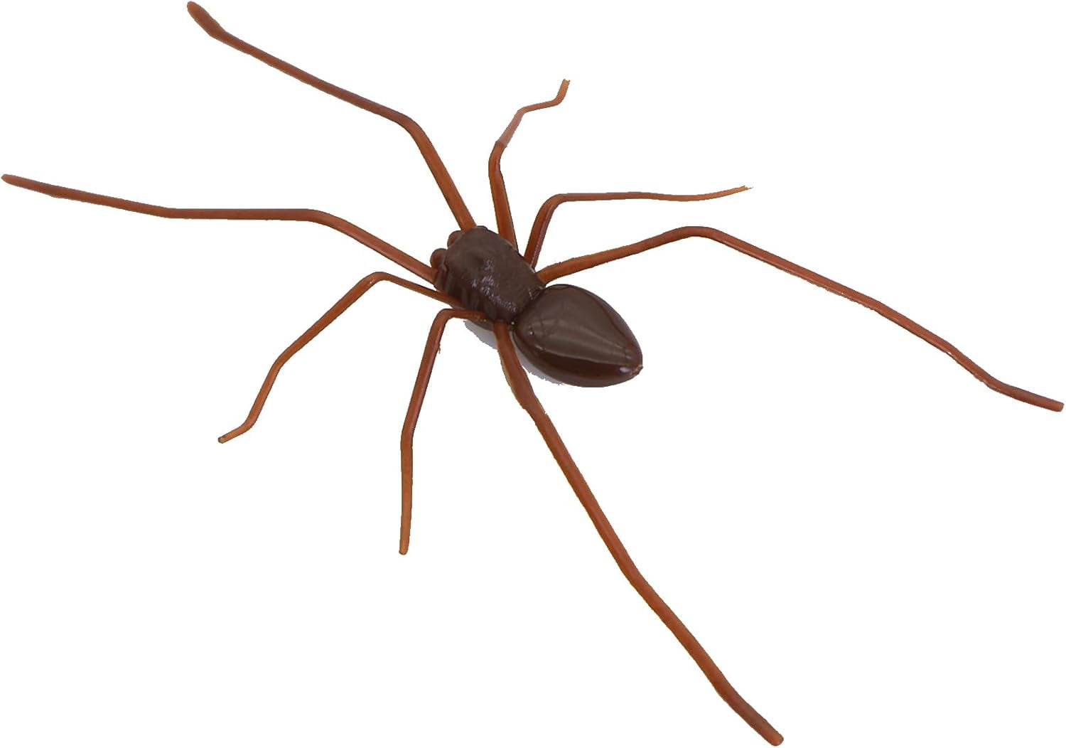 3D Spider Fridge Magnet,Magnetic Spiders Realistic,Cute Spiders Designs ...