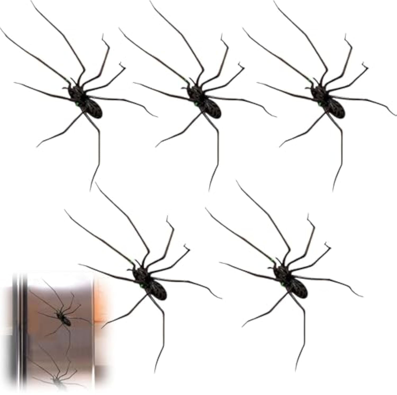 3D Spider Fridge Magnet, Realistic Spider Magnet, Cute Spider Design ...