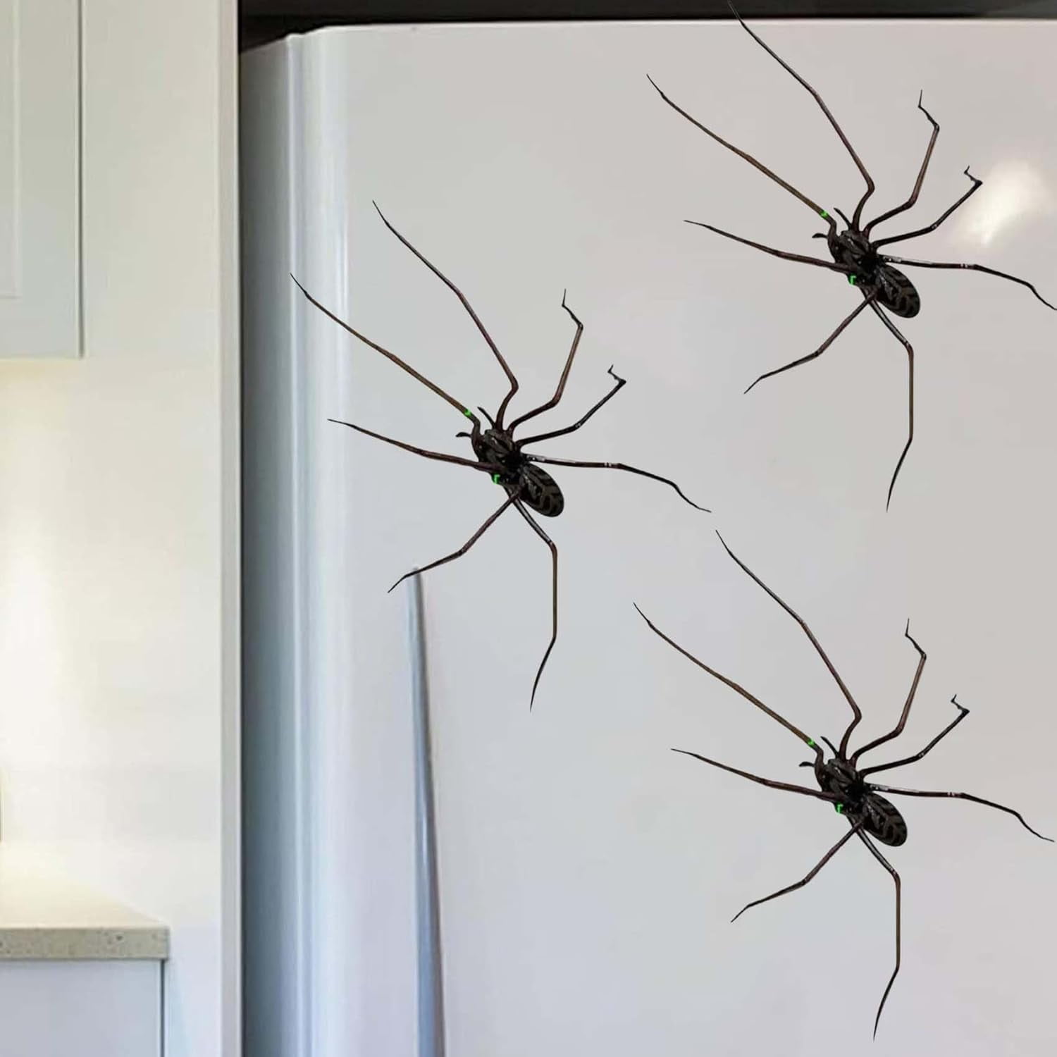 3D Spider Fridge Magnet, Realistic Spider Magnet, Cute Spider Design ...