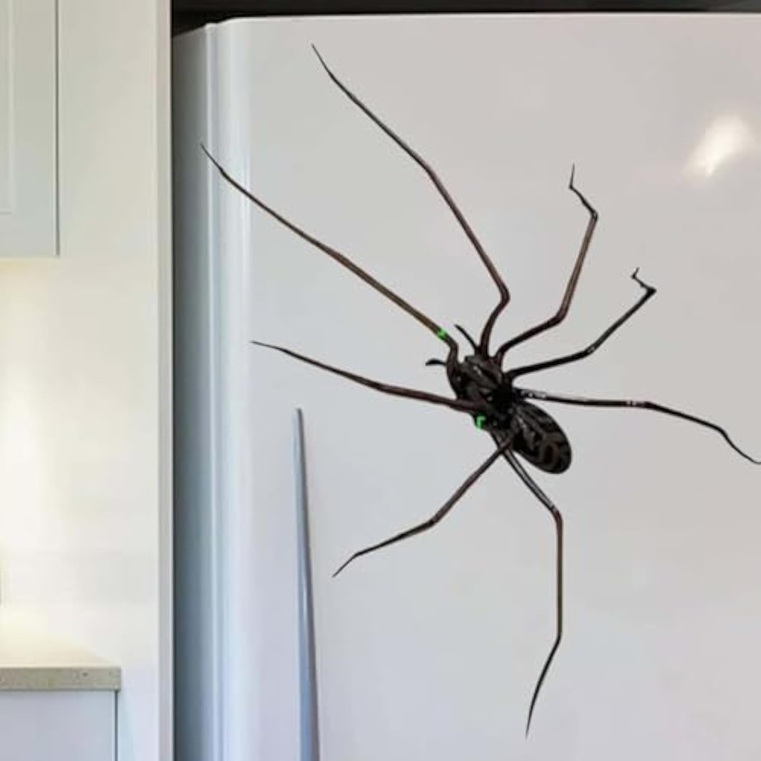 3D Spider Fridge Magnet, Realistic Spider Magnet, Cute Spider Design ...