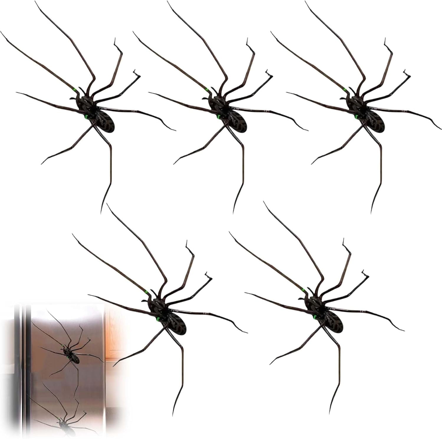 3D Spider Fridge Magnet, Realistic Spider Magnet, Cute Spider Design ...