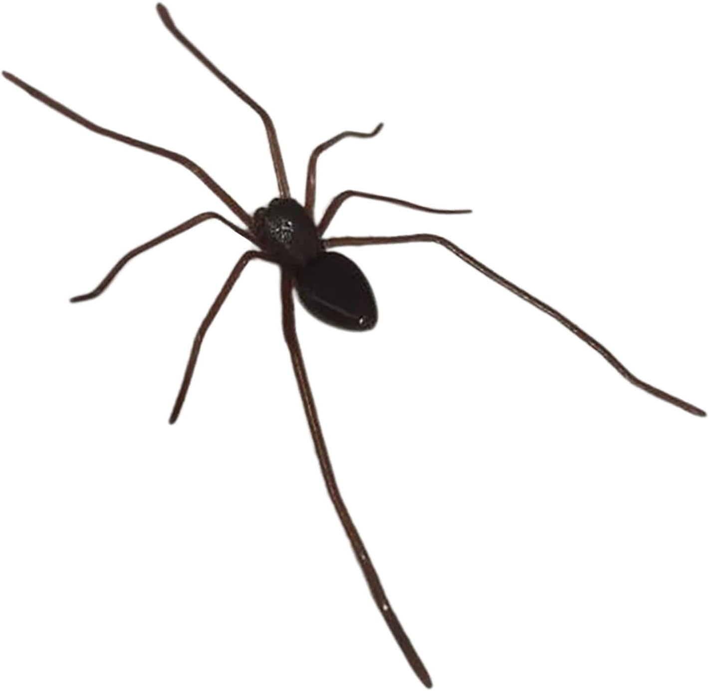 3D Spider Fridge Magnet, Realistic Spider Magnets, Cute Spiders Designs ...