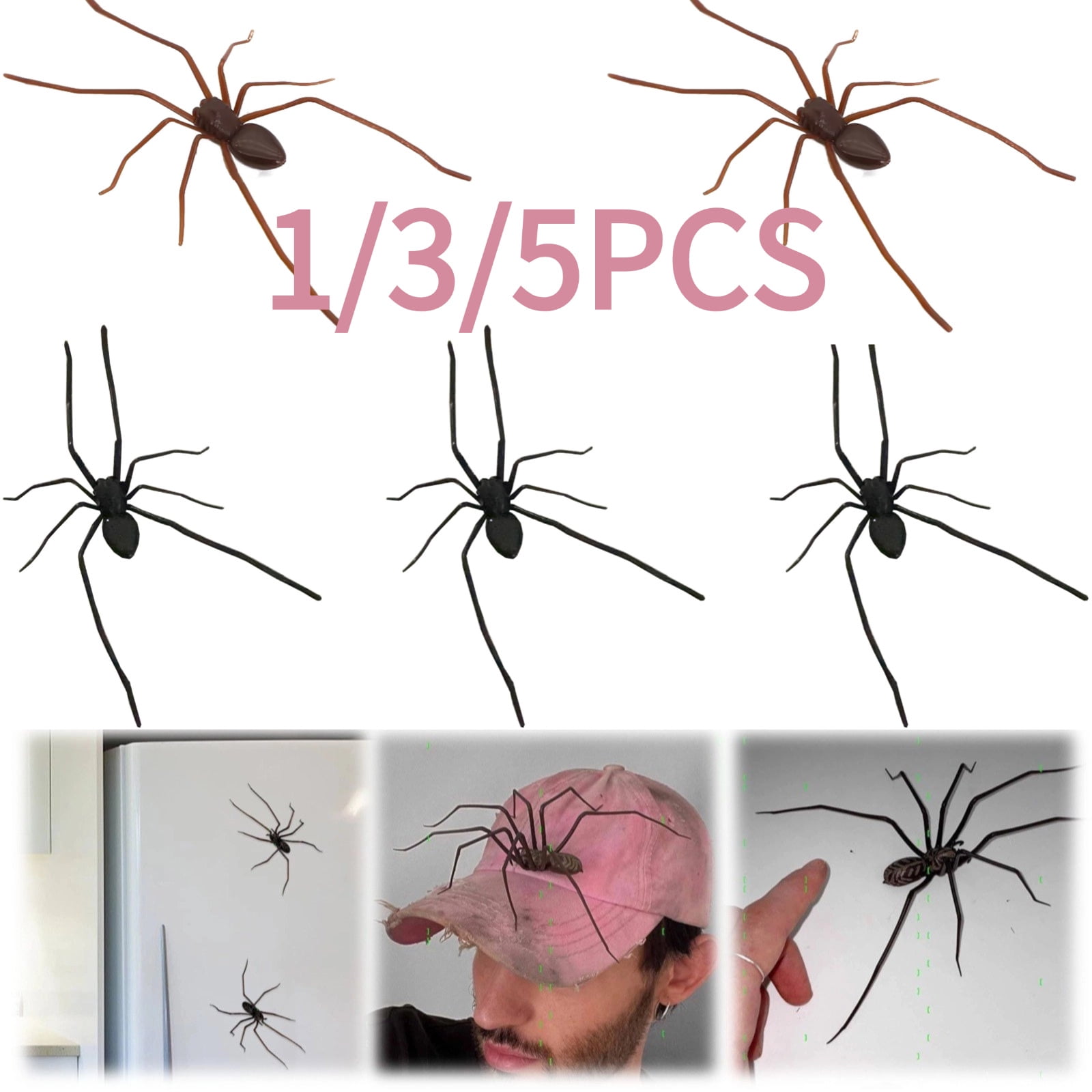 3D Spider Fridge Magnet,Realistic Spider Magnets,Cute Spiders Designs ...