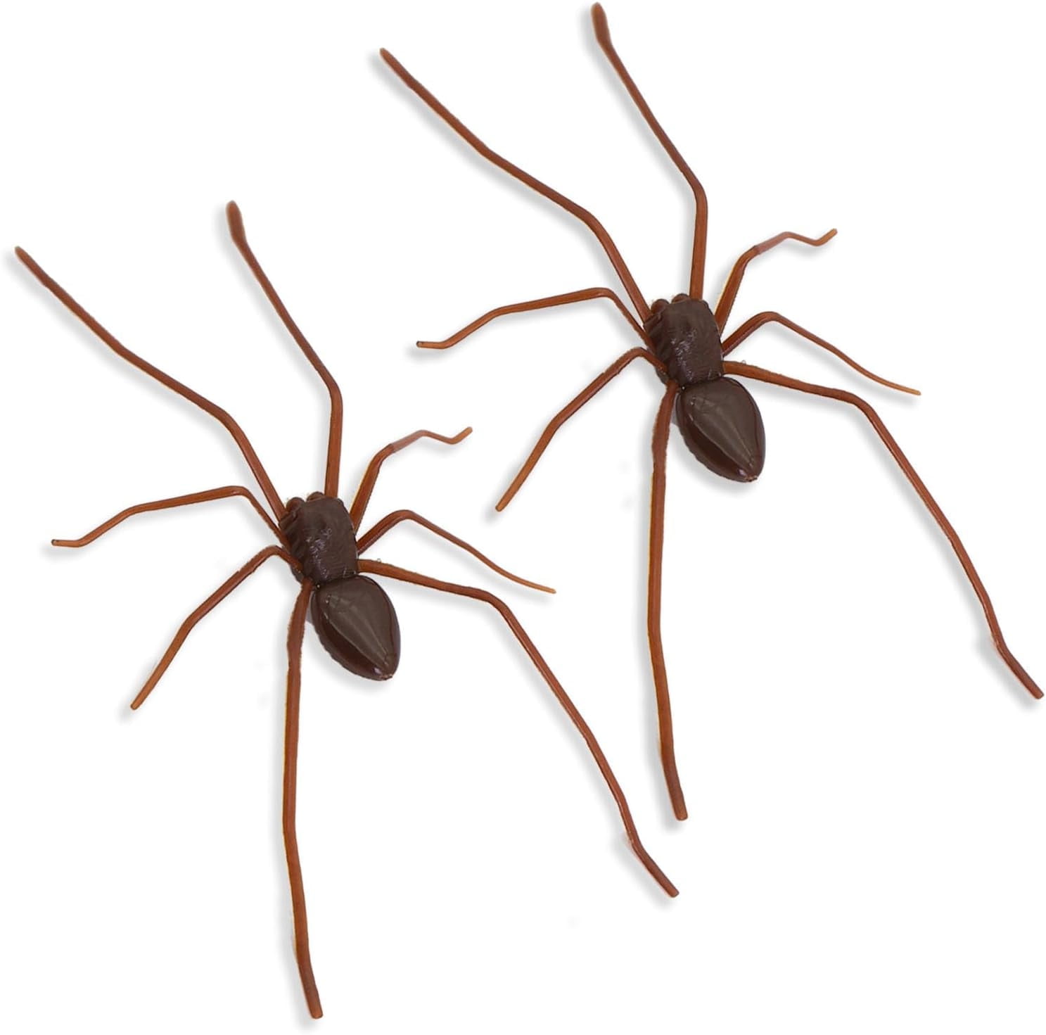 3D Spider Fridge Magnet, Realistic Spider Magnets, Pranks and Kitchen ...