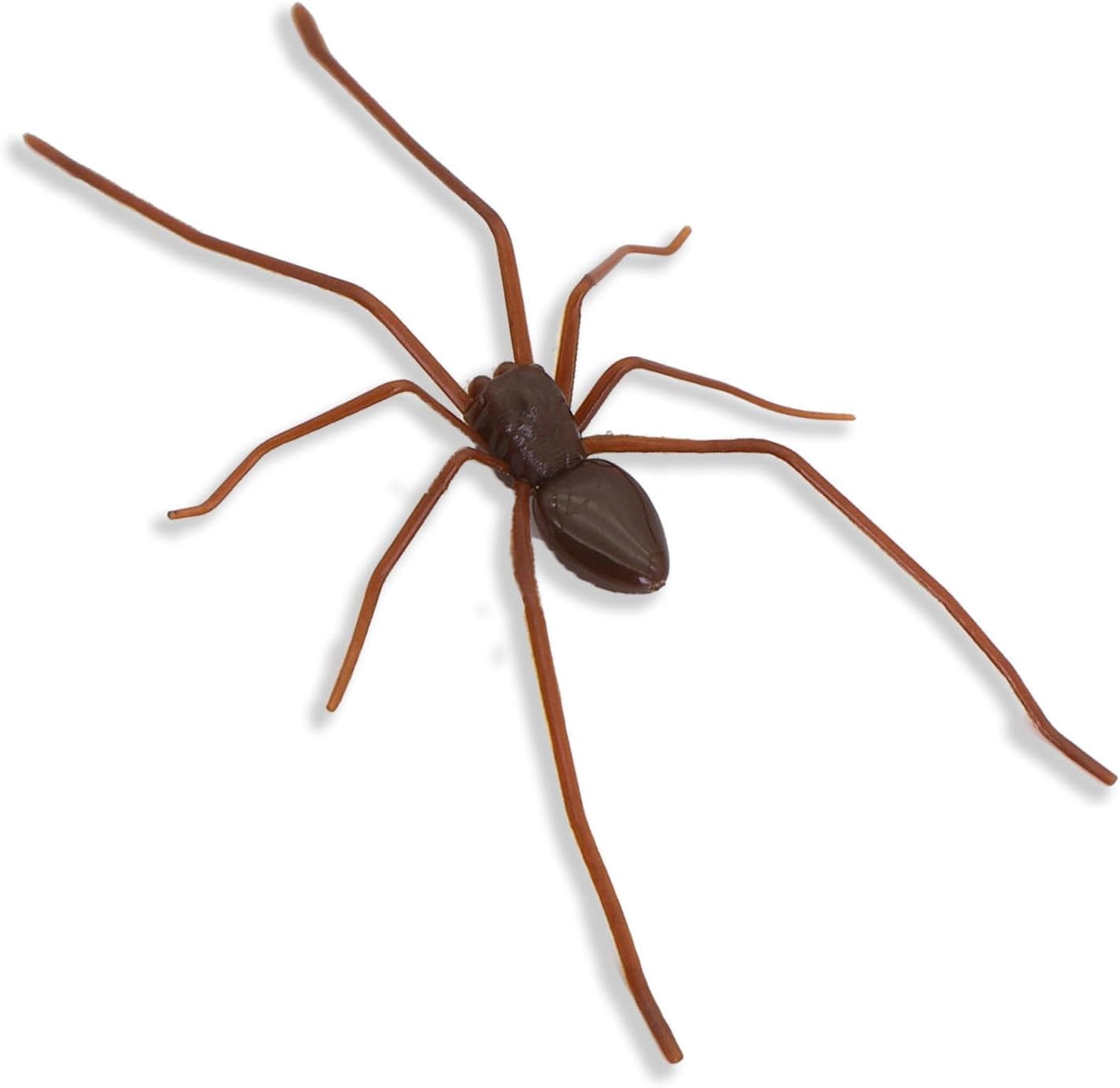 3D Spider Fridge Magnet, Realistic Spider Magnets, Pranks and Kitchen ...