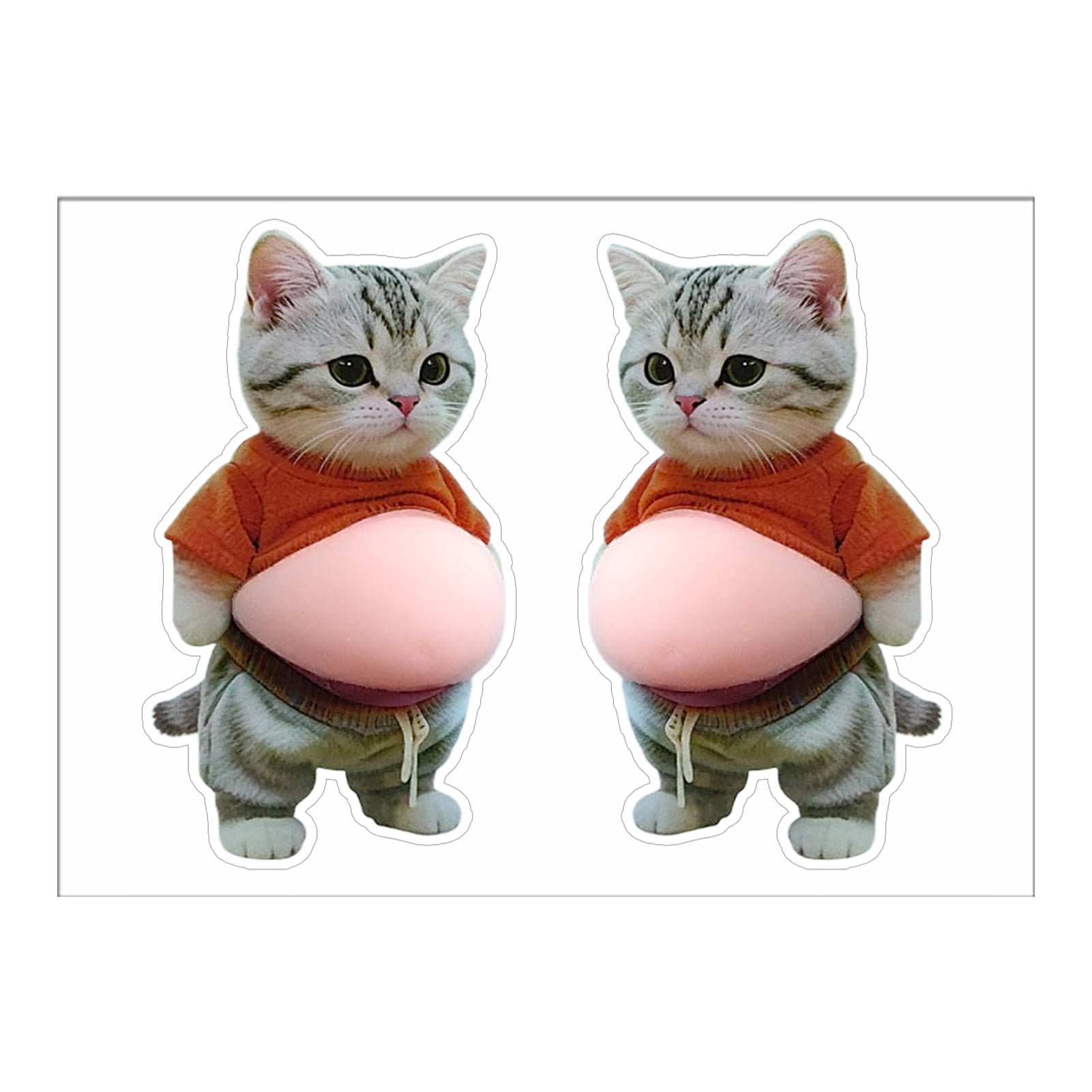 3D Stickers for Kids | Cat Squeeze Belly Party Decoration | Animal ...