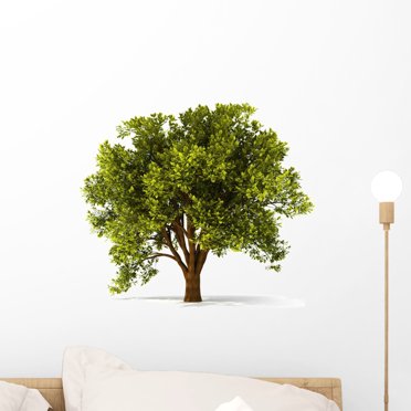 Donkey and His Foal Wall Decal by Wallmonkeys Peel and Stick Graphic ...