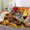 3D Tiger blanket Super Soft For Spring Autumn Modern Line Art Sherpa ...