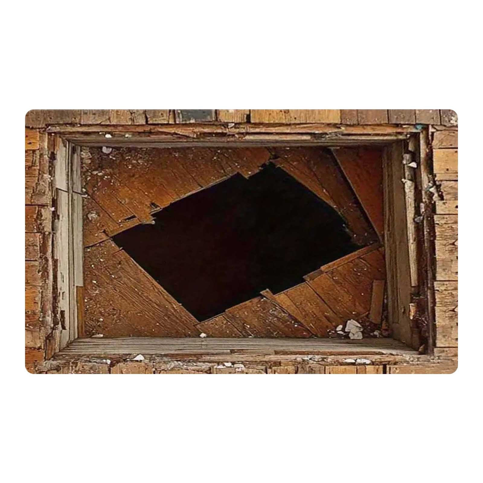 3D Trap Optical Visual Rug 15.75x23.62 Inch Front Door Mat with Brick ...