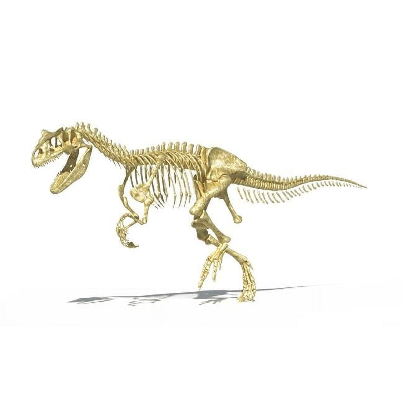 3D rendering of an Allosaurus dinosaur skeleton Poster Print - Walmart.com