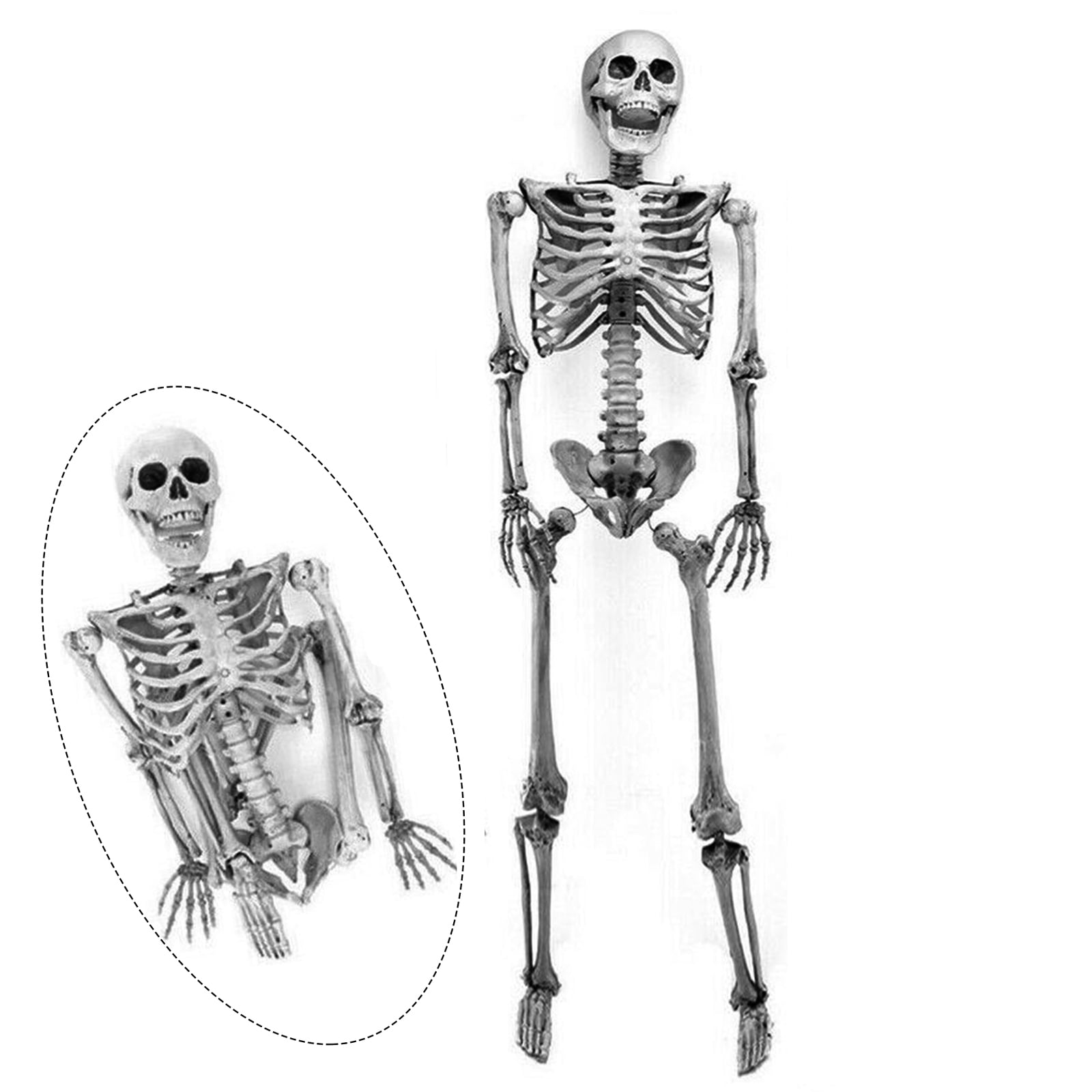 W O O W D E P O T 5.6FT Tall Poseable Halloween Human Bones - Lifesize ...