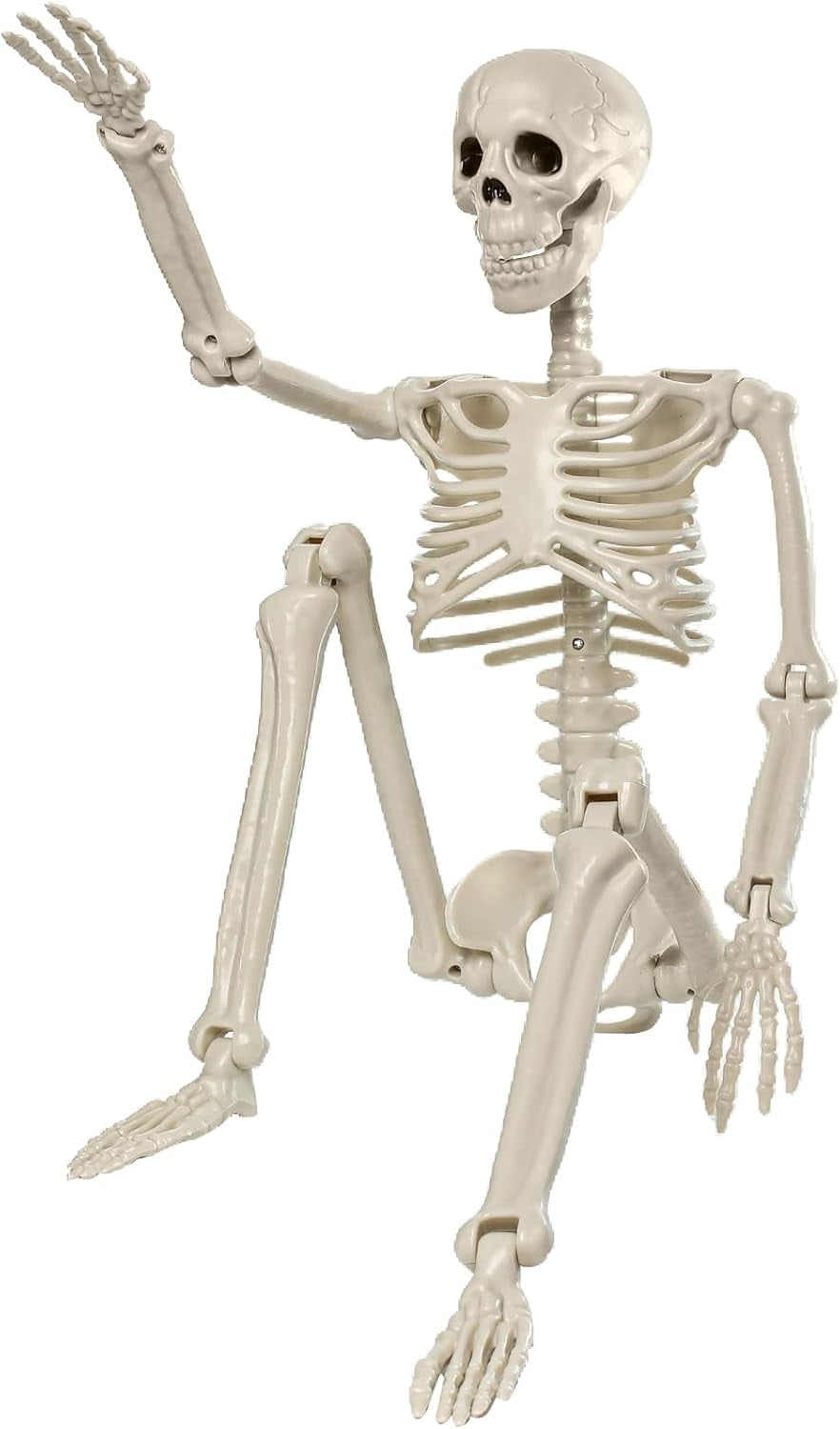 3FT Halloween Skeleton Decorations, 36" Full Body Posable Skeleton ...