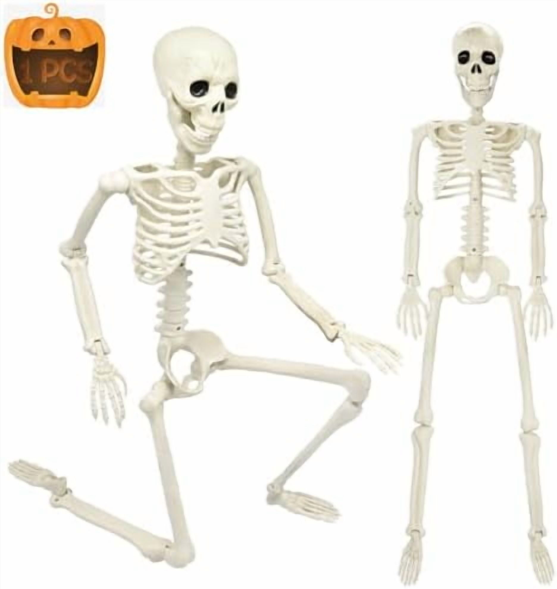 3FT Skeleton, 36" Full Body Skeleton with Movable Posable Joints ...