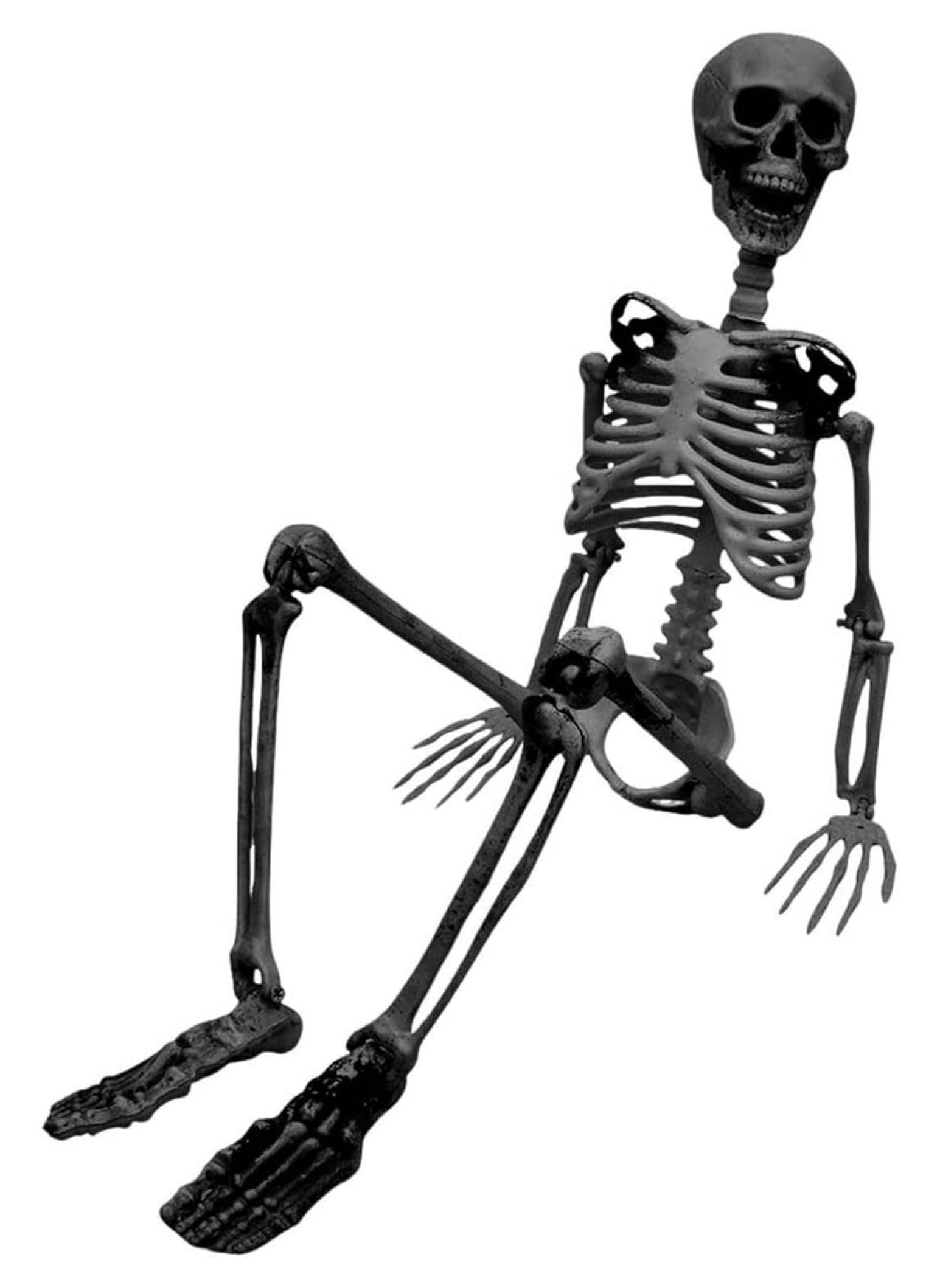 3Ft Skeleton, Life Size Skeleton Realistic Human Skeleton with Movable ...