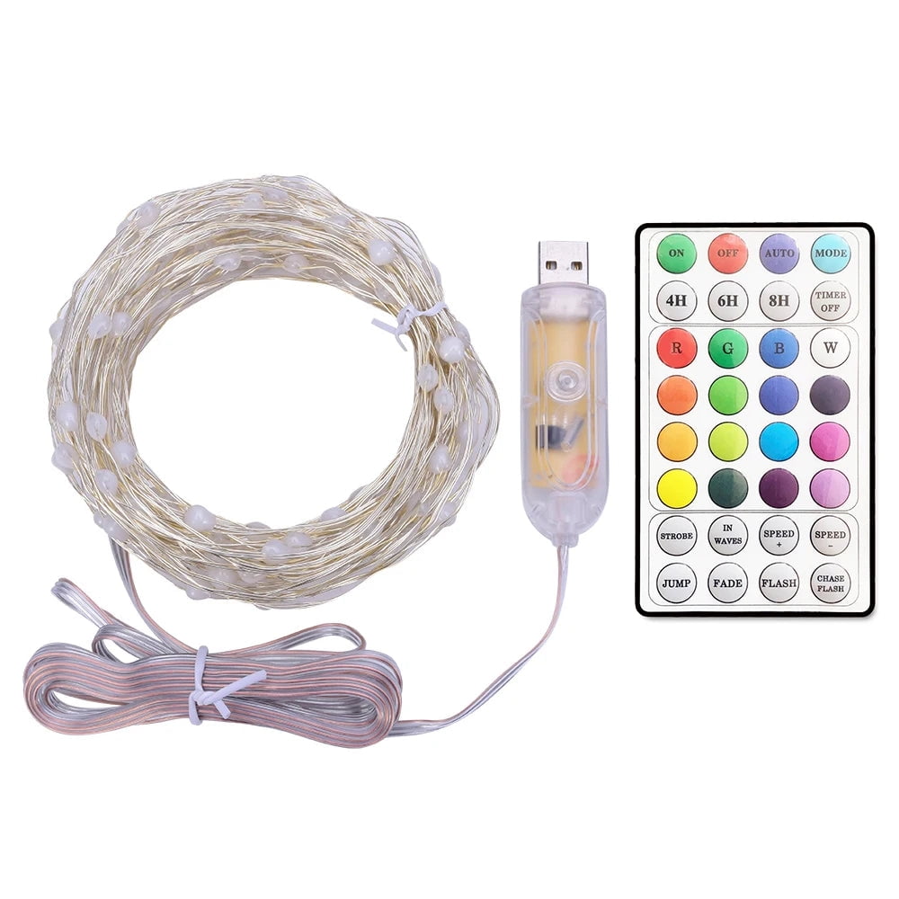 3M 5M 10M 20M Rgbw String Lights Remote Color Changing Twinkle Lights ...