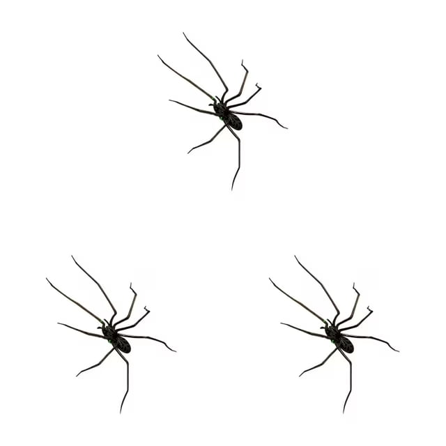 3PC Halloween 3D Spider Magnets for Pranks - Realistic 3.8" Magnetic ...