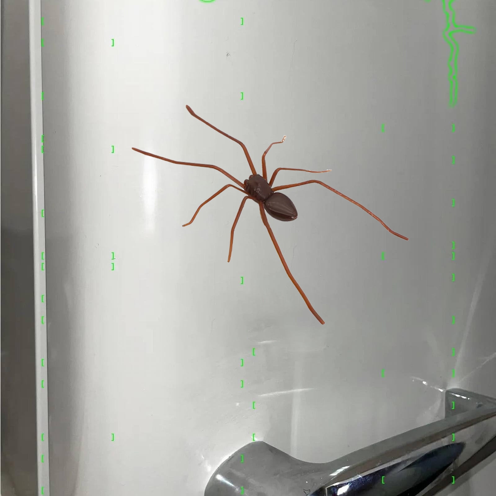 3PC Spider Magnet Decoration | Realistic Giant House Spider Fridge ...