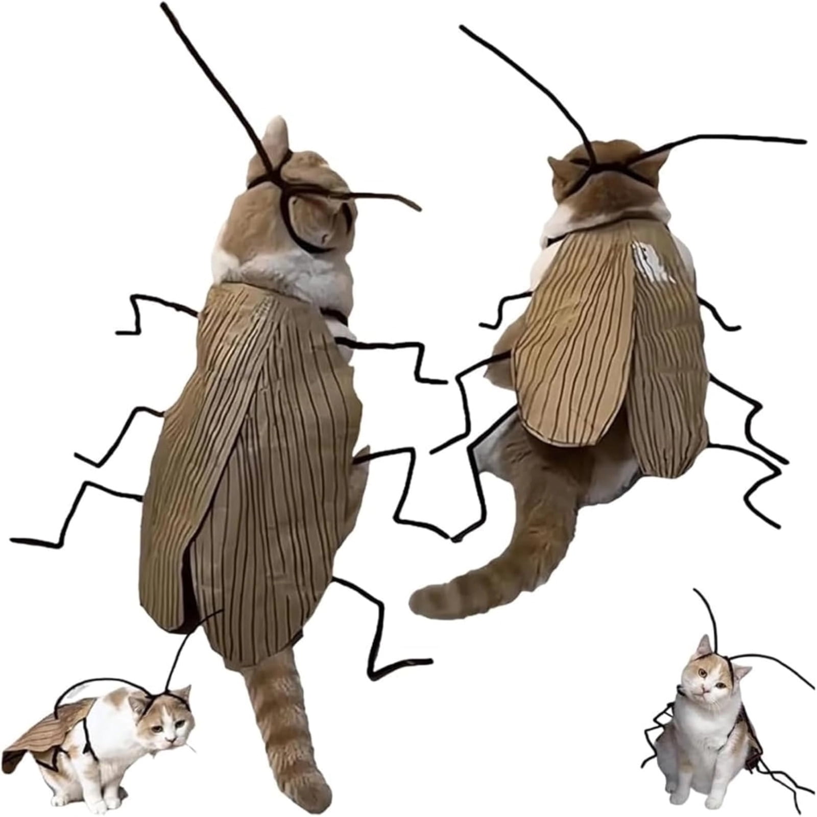 3PCS Cat Cockroach Clothing DIY Kit, Funny Cat Cape Craft Set, Cat ...