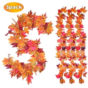 Fall Leaves