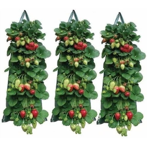 3PCS Hanging Strawberry Planter, Durable Thickened Aeration Fabric Grow ...