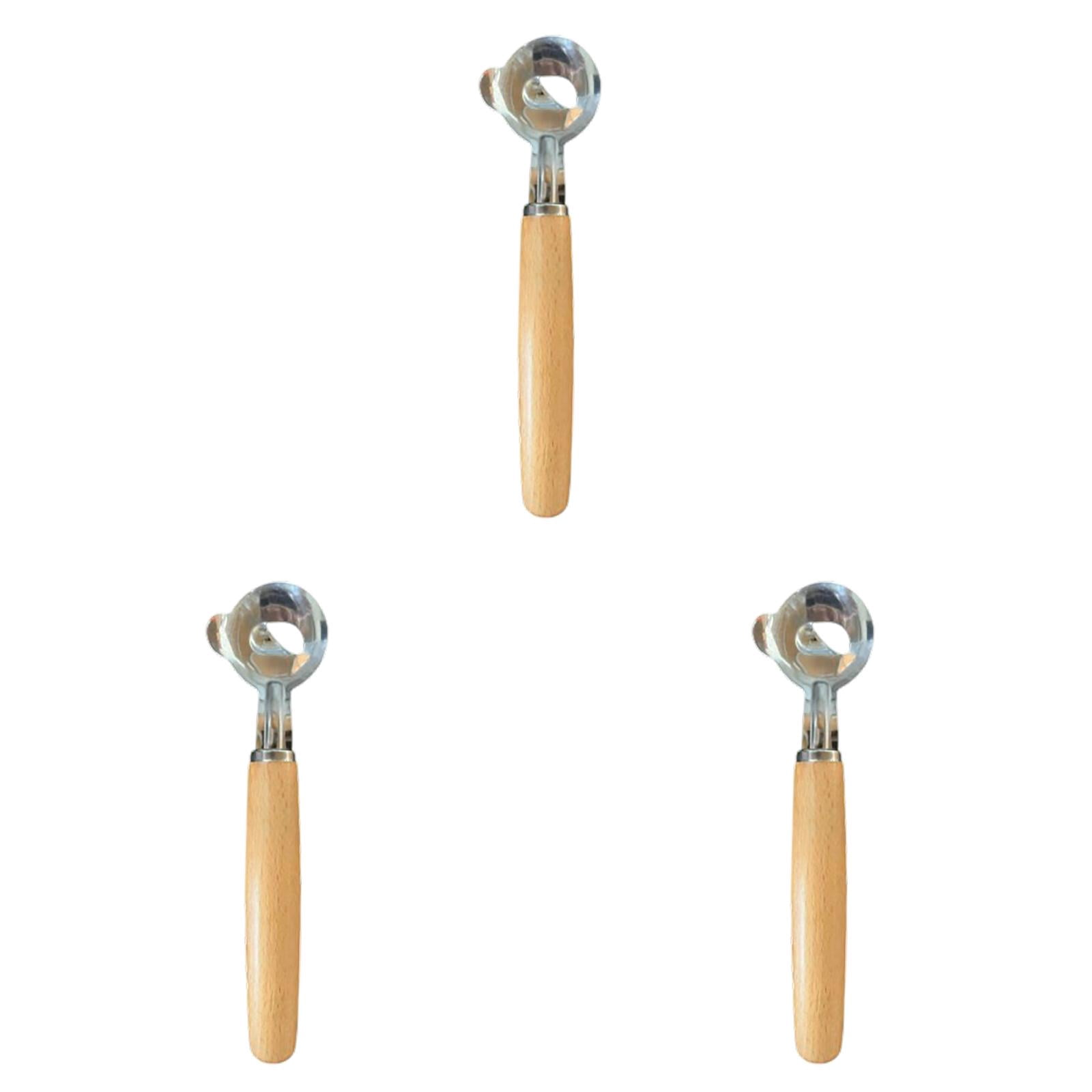 3PCS Cactus Peeler Tool - Stainless Steel Cuchara Pelador de Nopales ...