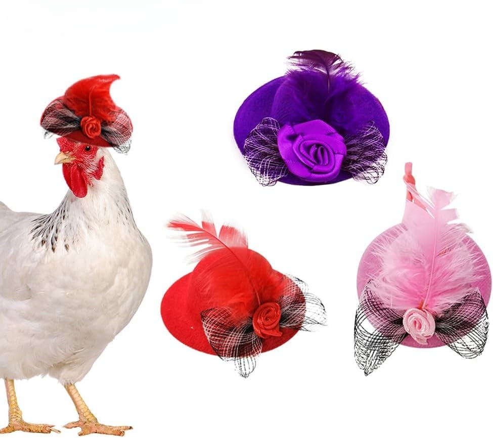 3Pcs Chicken Hats for Hen Small Helmets for Chicken, Pet Chicken Parrot ...