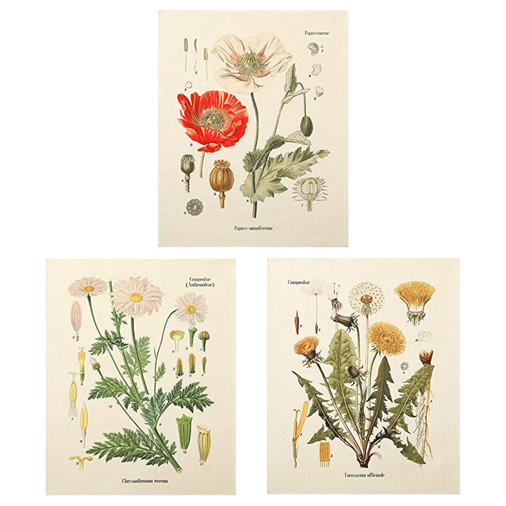 3Pcs Flower Tapestry Wall Hanging Wildflower Plant Floral Tapestry ...